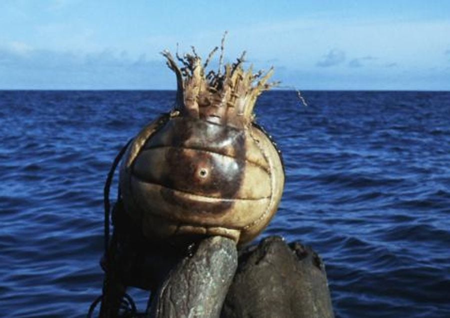 Wilson! 'Cast Away' volleyball is up for auction