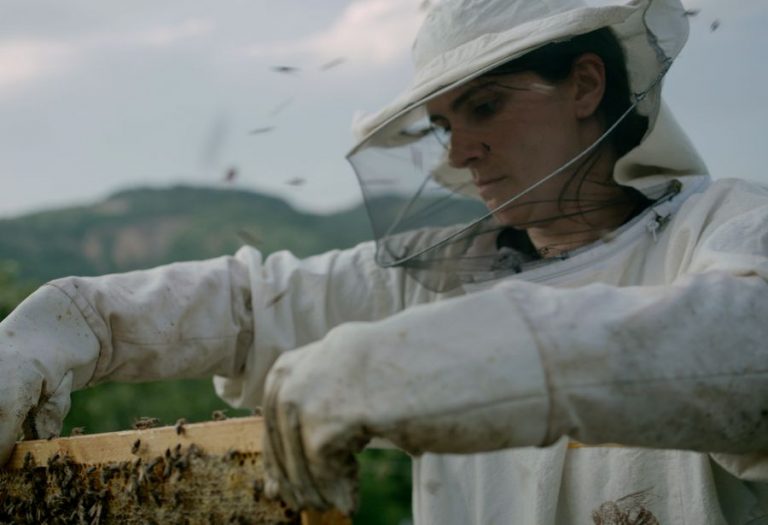 'Hive' Review: A crucial feminist war drama