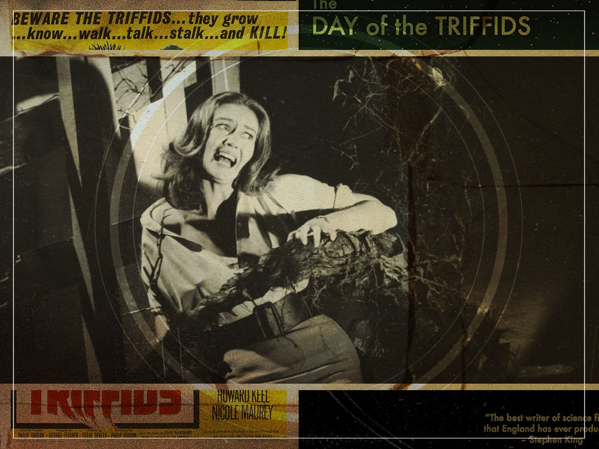 What is a "triffid" in 'The Day of the Triffids'?