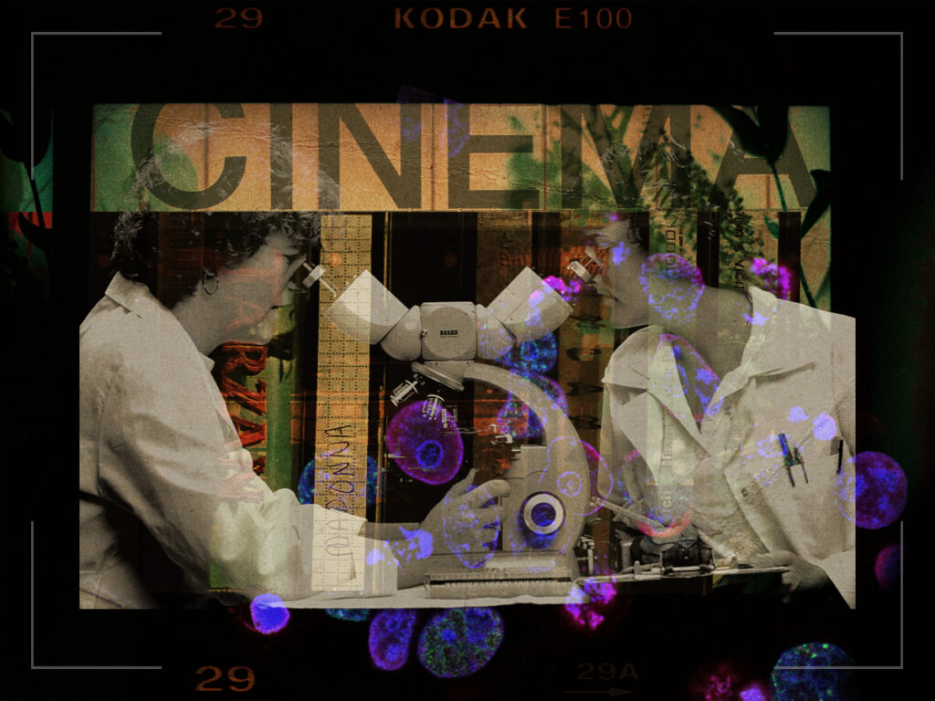 What's the best type of film to watch on a first date, according to ...