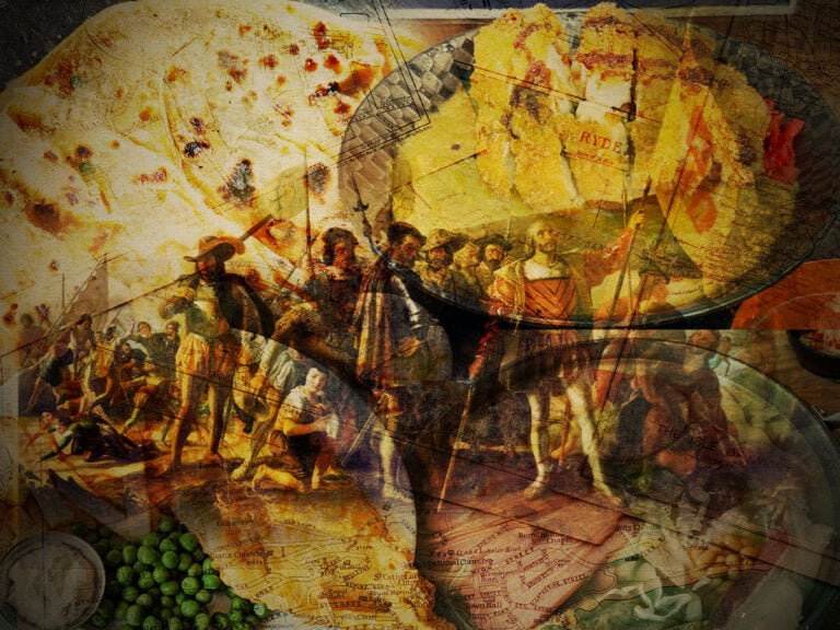 How migration and colonialism changed what the world eats